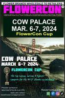 Events Archive - Ian Rassman